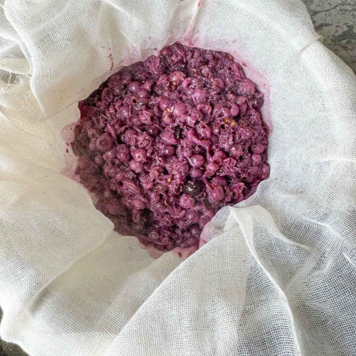 Saskatoon Jelly | Hilda's Kitchen Blog