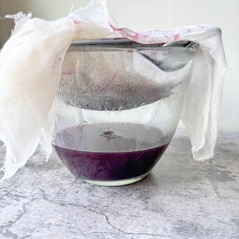 Saskatoon Jelly | Hilda's Kitchen Blog