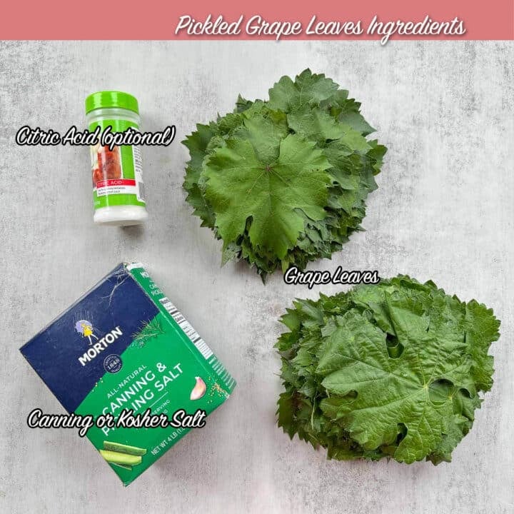 Pickling Grape Leaves For Dolma | Hilda's Kitchen Blog