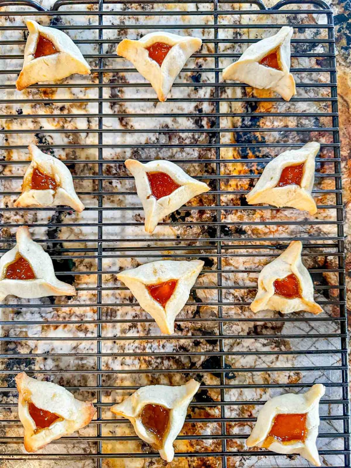 Jewish Hamantaschen Cookies | Hilda's Kitchen Blog