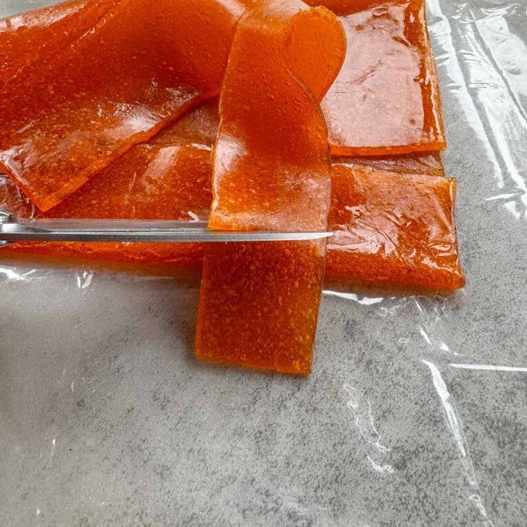 Homemade Apricot Nectar (Qamar Al-Din) | Hilda's Kitchen Blog