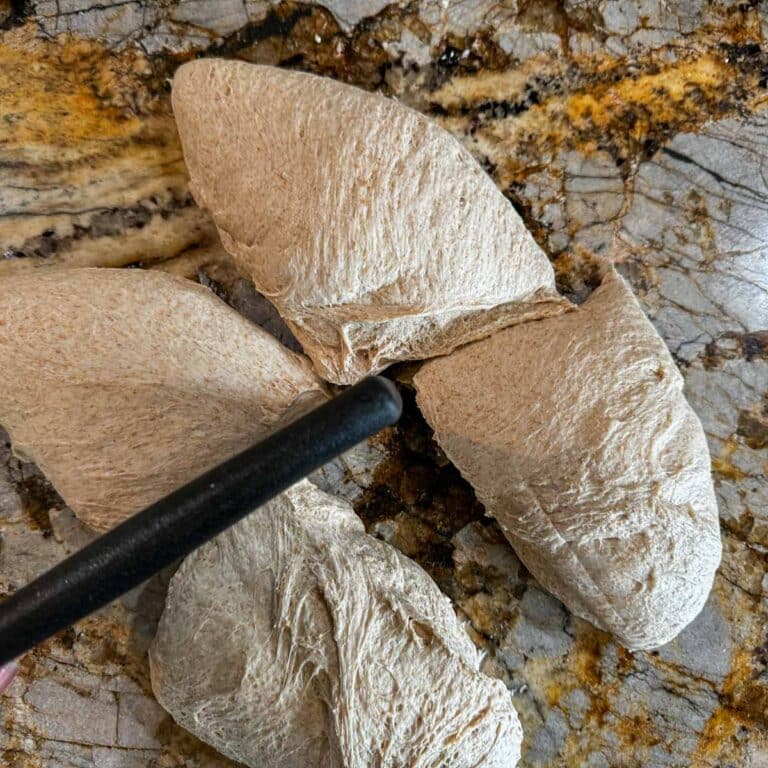 Iraqi Khubz (kuboos) | Hilda's Kitchen Blog