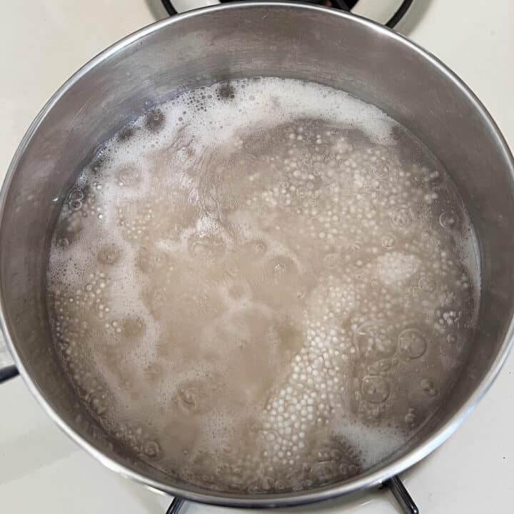 Easy Mango Sago Recipe | Hilda's Kitchen Blog