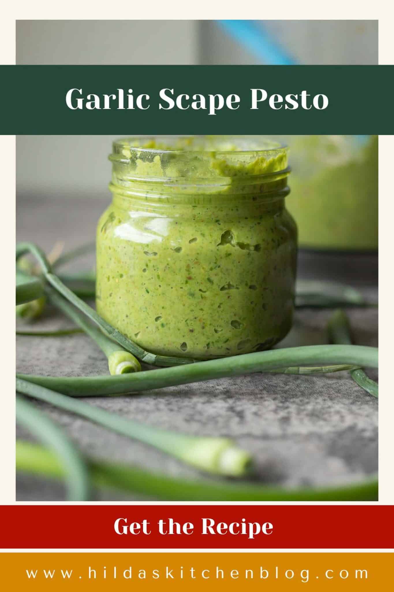 Garlic Scape Pesto | Hilda's Kitchen Blog
